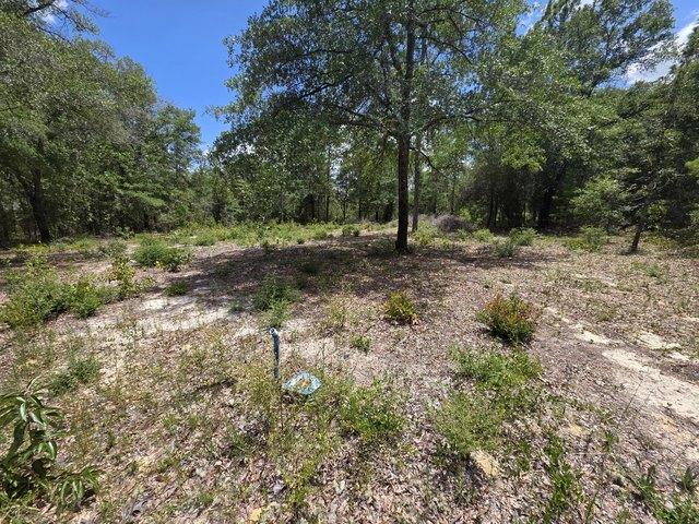 Tulip Ave E Lot 20, Defuniak Springs, FL 32433