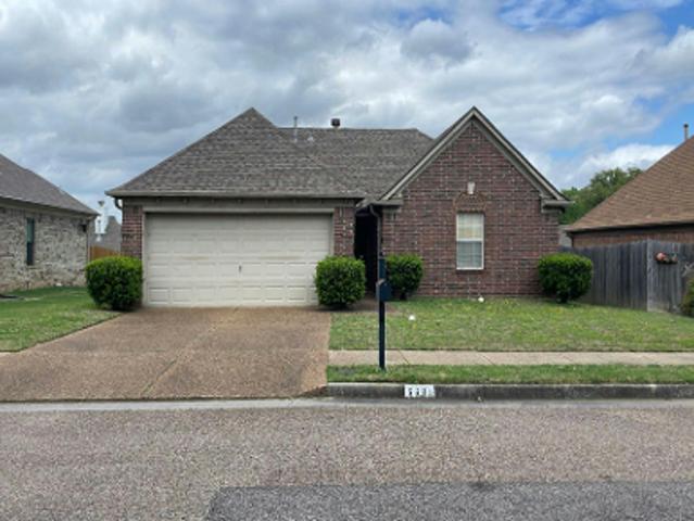 Tulip Hill Dr