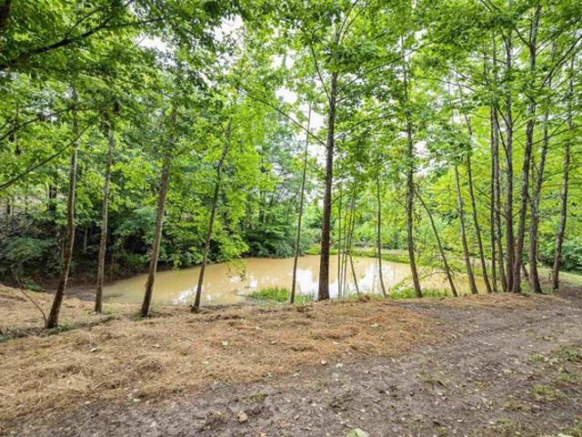 Tulip Ln Lot 1, Fairmont, WV 26554