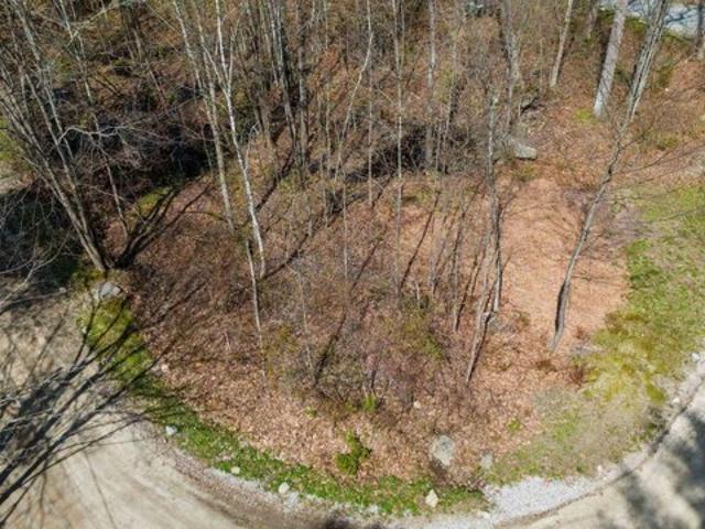 Turtle Bridge Xing Lot,hillsborough, Plot For Sale