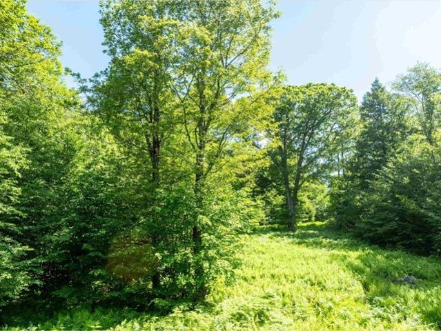 Turtle Hill Rd, Ludlow, Plot For Sale