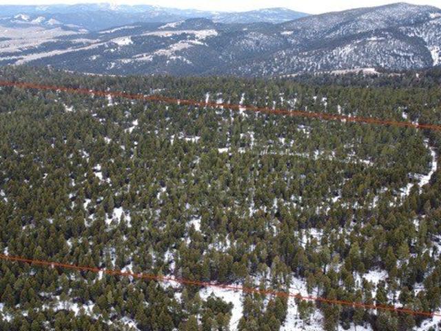 Turk Rd, Helena, MT 59602