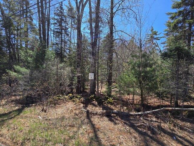 Turkey Cove Rd Lot,saint George, Plot For Sale