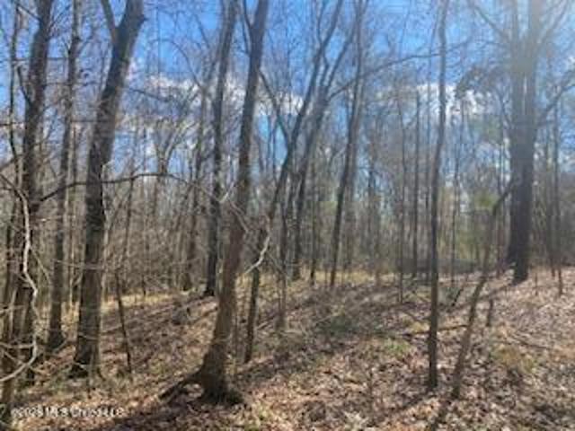 Turkey Creek Road, Natchez, MS 39120