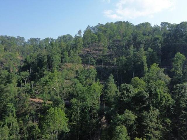 Turkey Creek Rd, Ansted, WV 25812