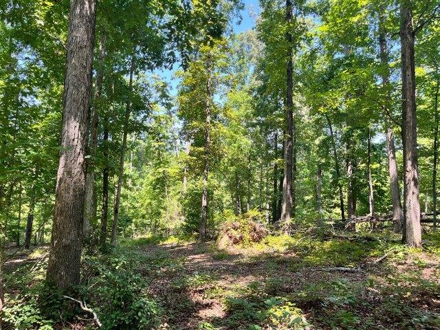 Turkey Creek Rd, Ware Shoals, SC 29692
