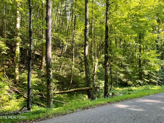 Turkey Creek Rd, Tellico Plains, TN 37385