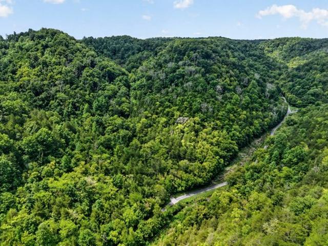 Turkey Branch Rd, Liberty, TN 37095