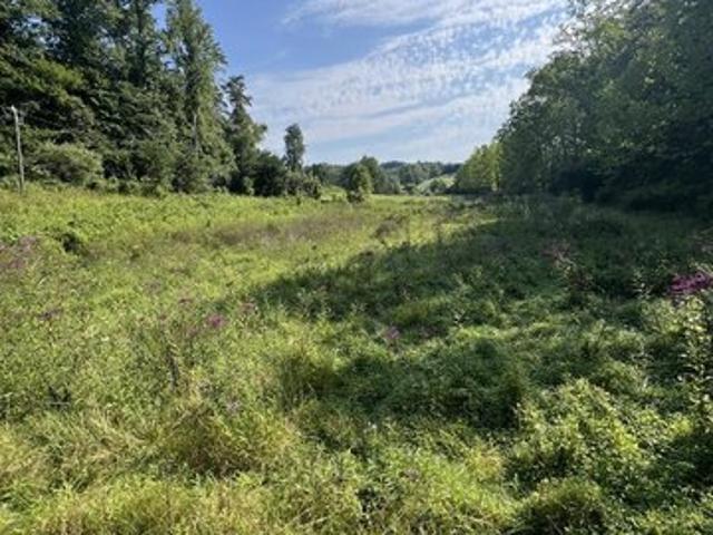 Turkey Foot Rd, Wheelersburg, OH 45694