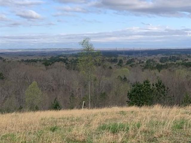 Turkey Knob Rd, Counce, TN 38326