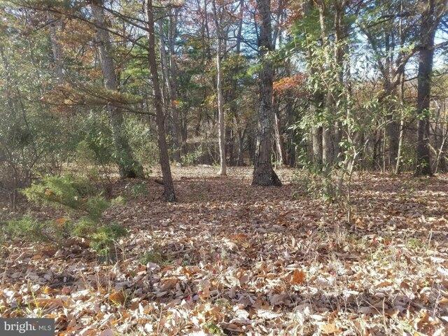 Turkey Hollow Rd, Romney, Plot For Sale
