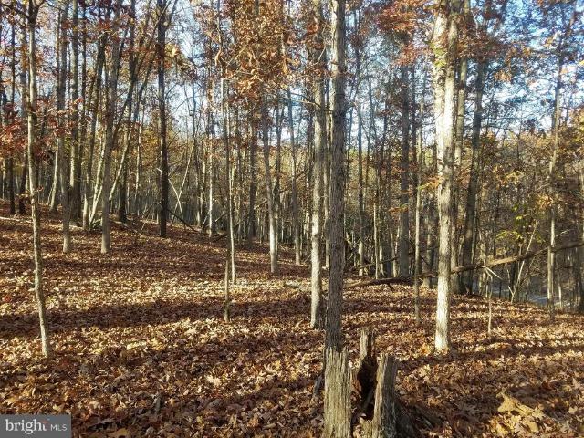 Turkey Hollow Road