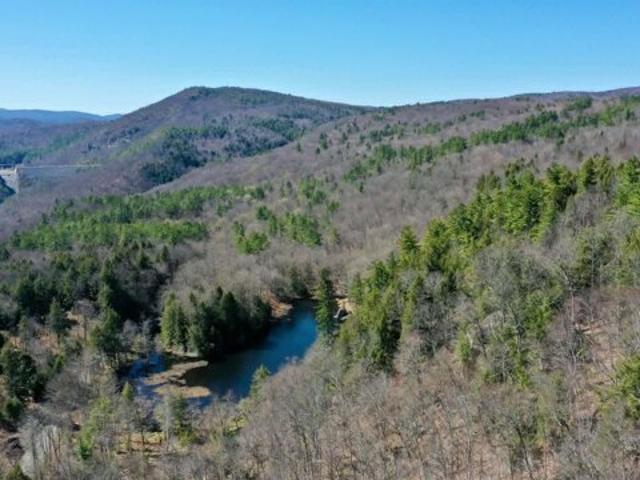 Turkey Mountain Rd, Jamaica, Plot For Sale