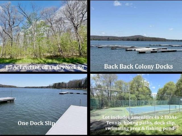 Turkey Neck Rd Lot 12, Swanton, MD 21561