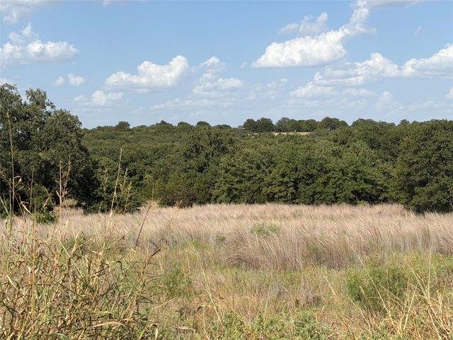 Turkey Tbd Ct Lot 51, Perrin, TX 76486