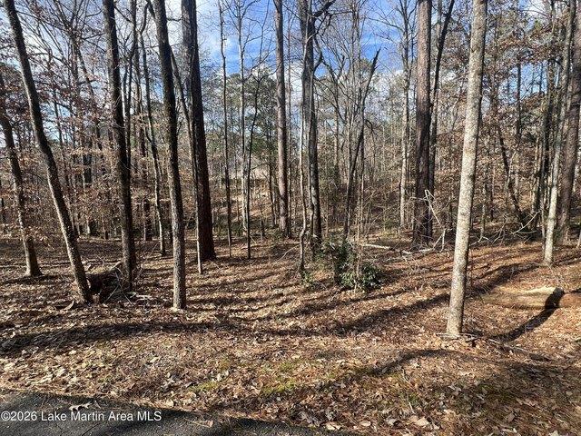 Turkey Trot Lot 31, Dadeville, AL 36853