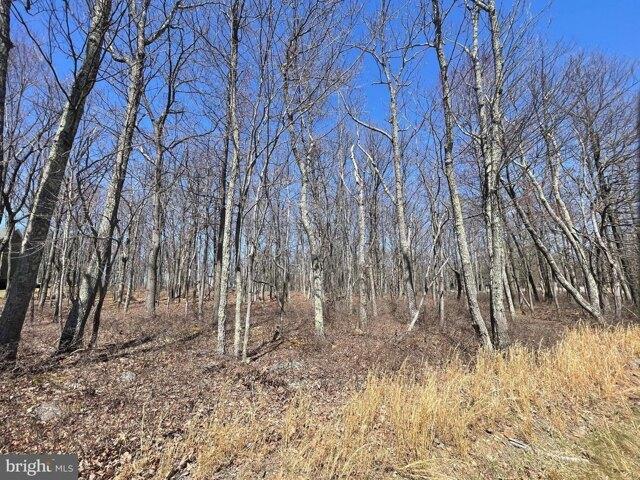 Turnberry Ln, Hazleton, Plot For Sale