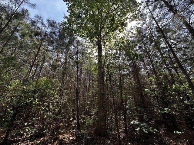 Turnpike Rd, Bohannon, VA 23109