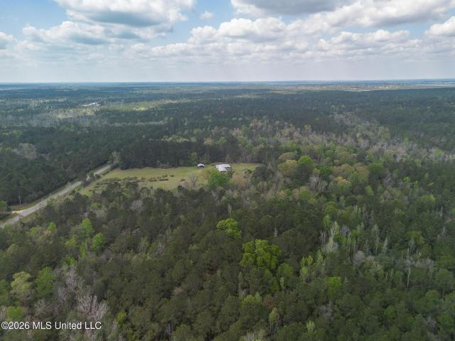 Turp Maples Road, Perkinston, MS 39573
