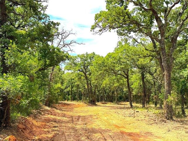 Turpin Lake Rd, Poolville, TX 76487