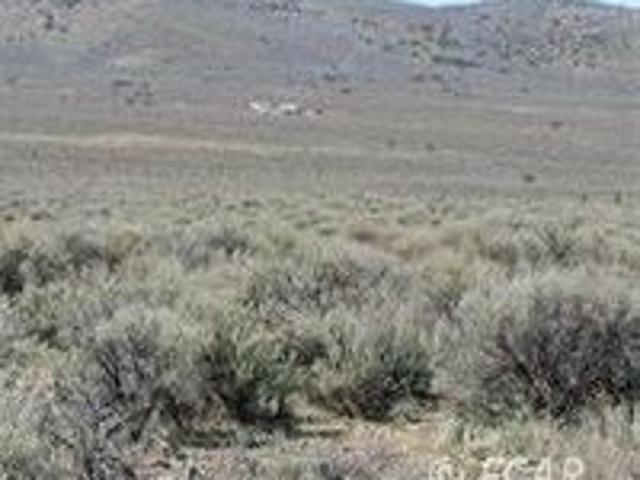 Turquoise Ave, Spring Creek, NV 89815