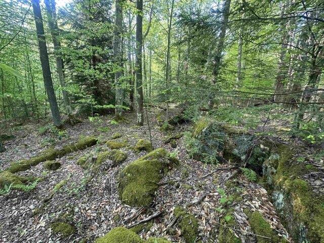 Tuscan Ridge Rd Lot,davis, Plot For Sale