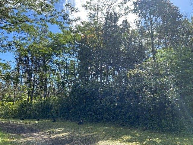 Tutu Rd, Pahoa, HI 96778