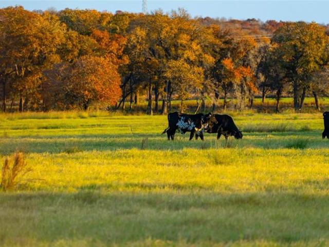 Tx 123, Seguin, TX 78155