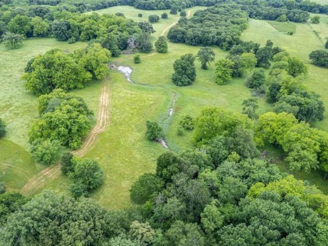 Tx Tx 102552450