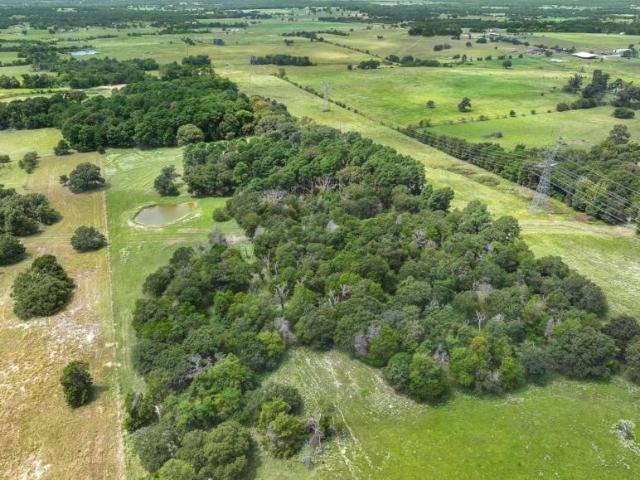 Tx Tx 102552777