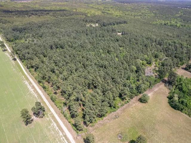 Tx Tx 102552978