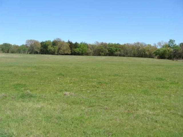 Tx Tx 102553161