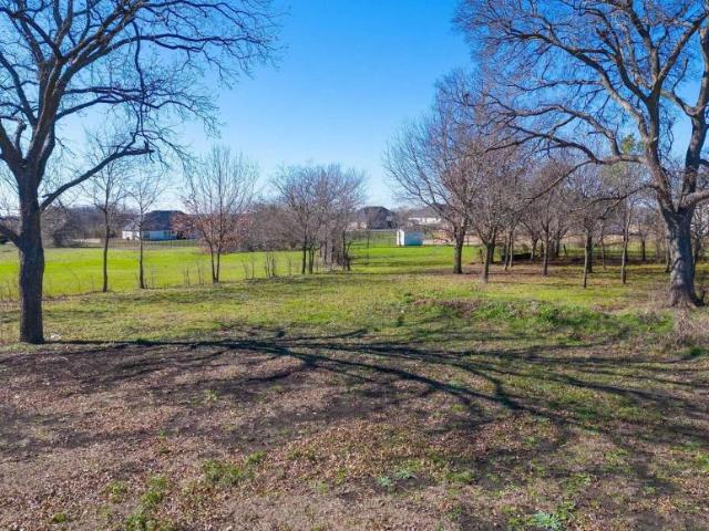 Tx Tx 102553169
