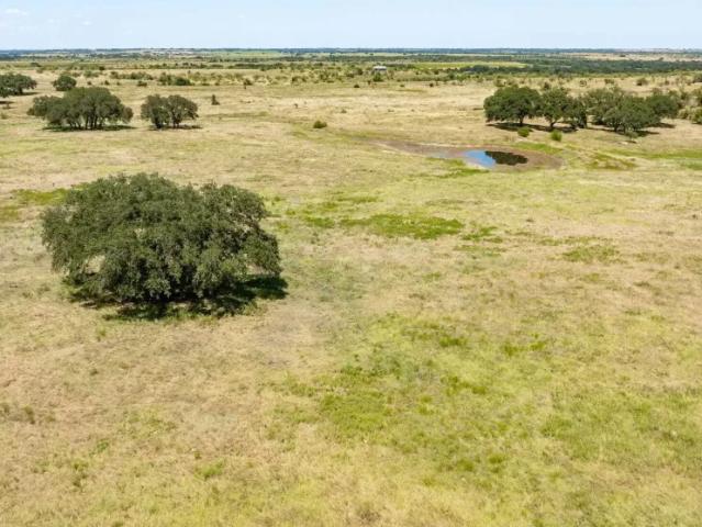 Tx Tx 102553250