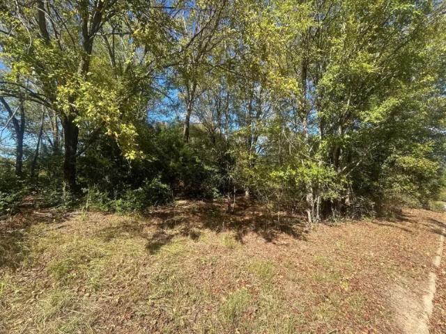 Tx Tx 102701653
