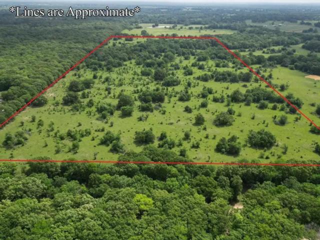 Tx Tx 102702407