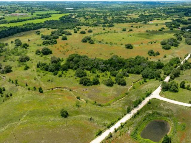 Tx Tx 102702354