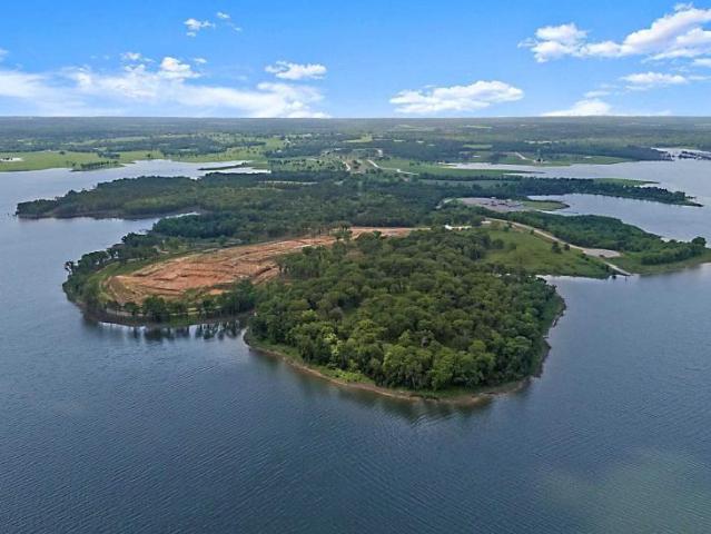 Tx Tx 102204479