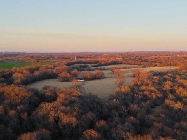 Tx Tx 102204504
