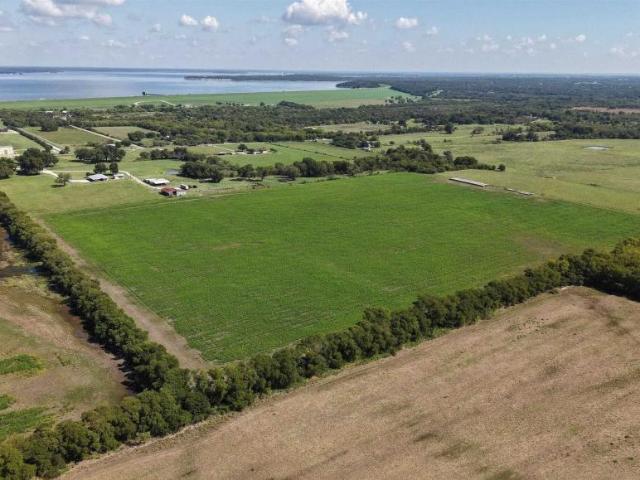 Tx Tx LS102204539