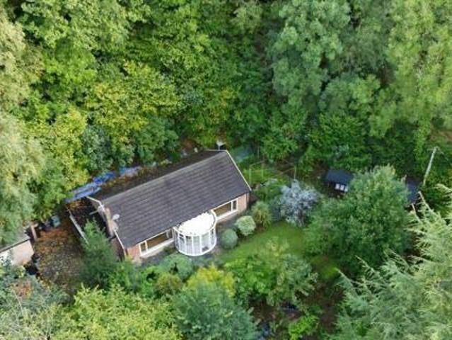Tyn Y Coed Felin Uchaf, Llanddoged, 2 Bedroom Bungalow