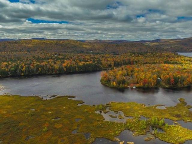 Tyanoga Rd, Whitingham, VT 05361