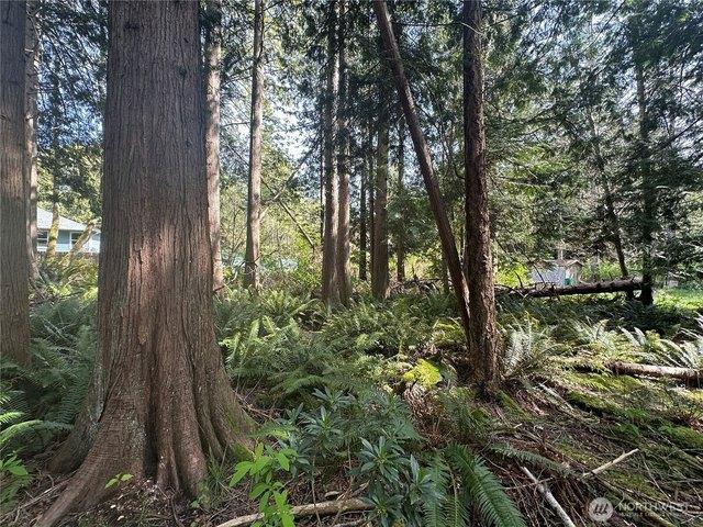 Tyee Dr Lot 9, Point Roberts, WA 98281