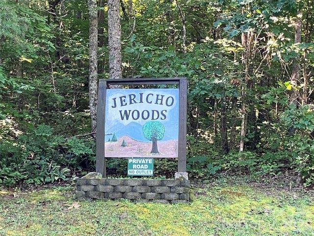 Tyler Ter Lot 11, Rutherfordton, NC 28139