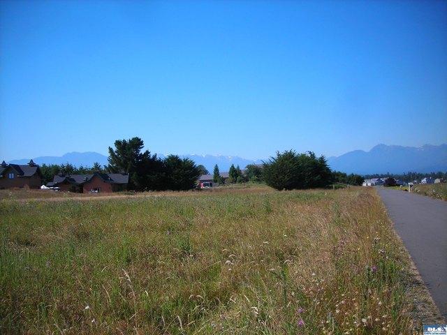 Tyler View Pl, Sequim, WA 98382
