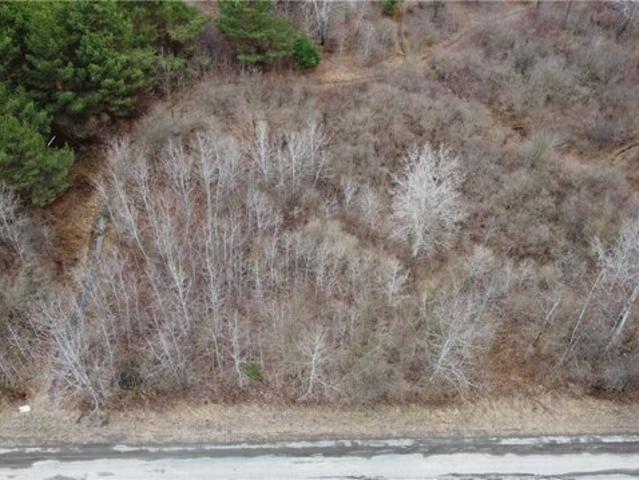 Tyler Hollow Rd S, Spencer, Plot For Sale