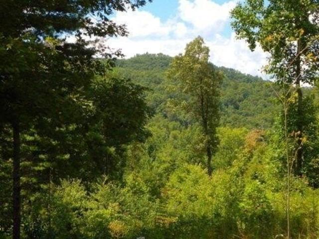 Tyler Rdg Lot 16, Murphy, NC 28906