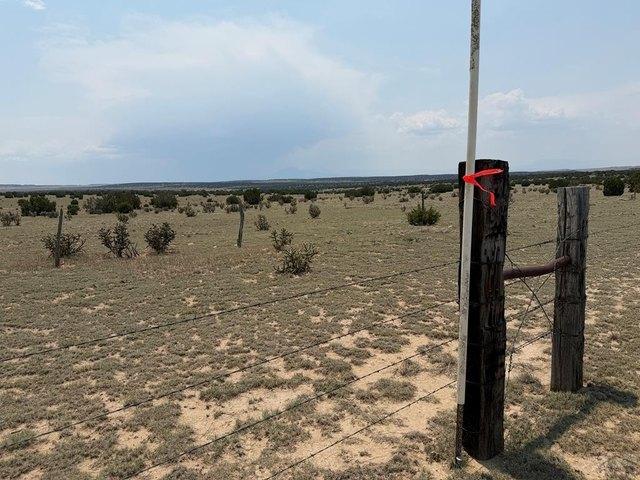 Tyrone Hls Lot 167, Walsenburg, CO 81089