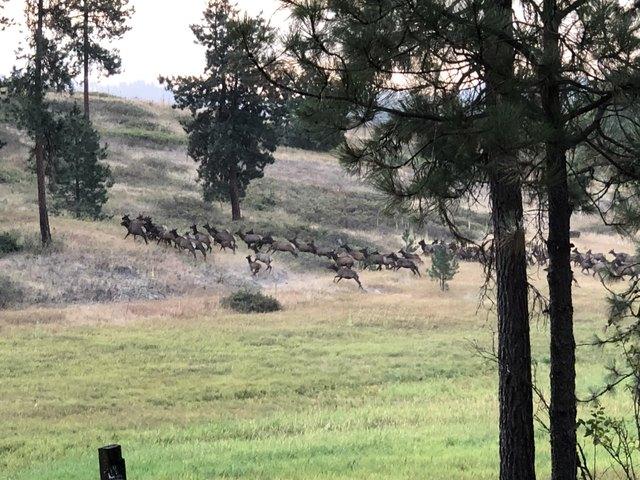 U S 395 Hwy, Valley, WA 99181