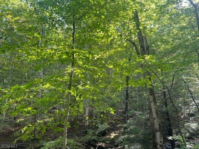 U S # 46, Mine Hill, NJ 07803